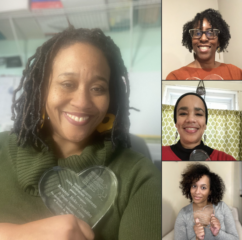 About 21 Shades - MDSC